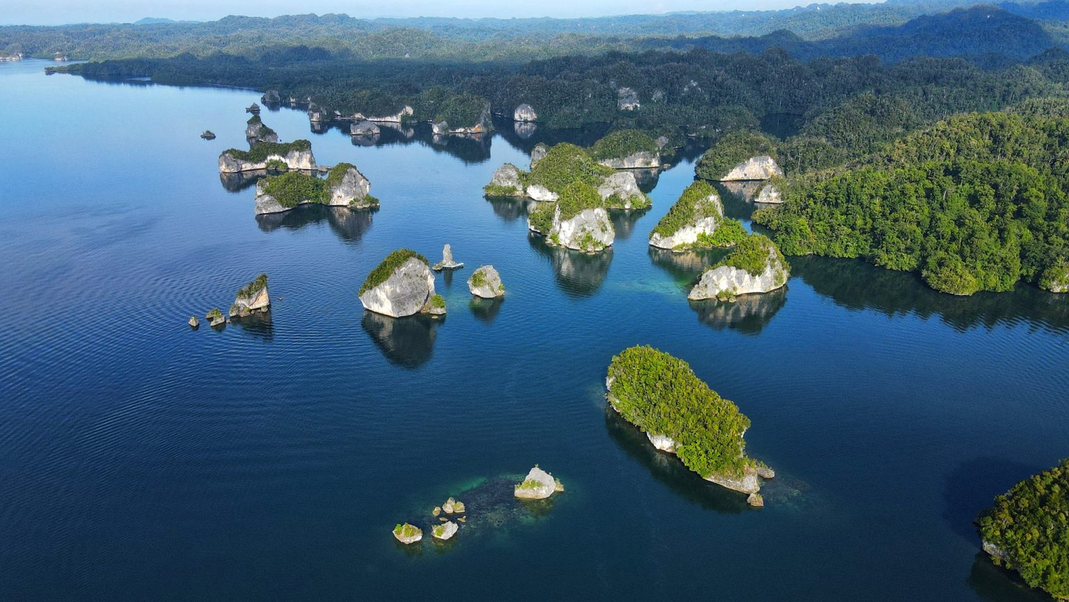 Raja Ampat Petualangan Di Ujung Papua TERBAIK