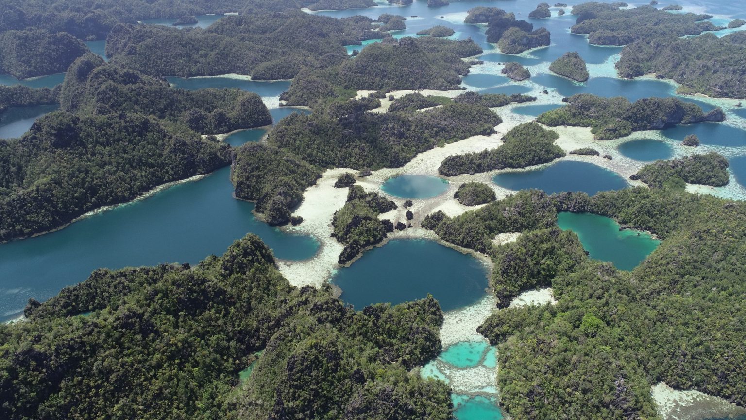 Surga Bawah Laut Raja Ampat, Pesona Keanekaragaman Hayati