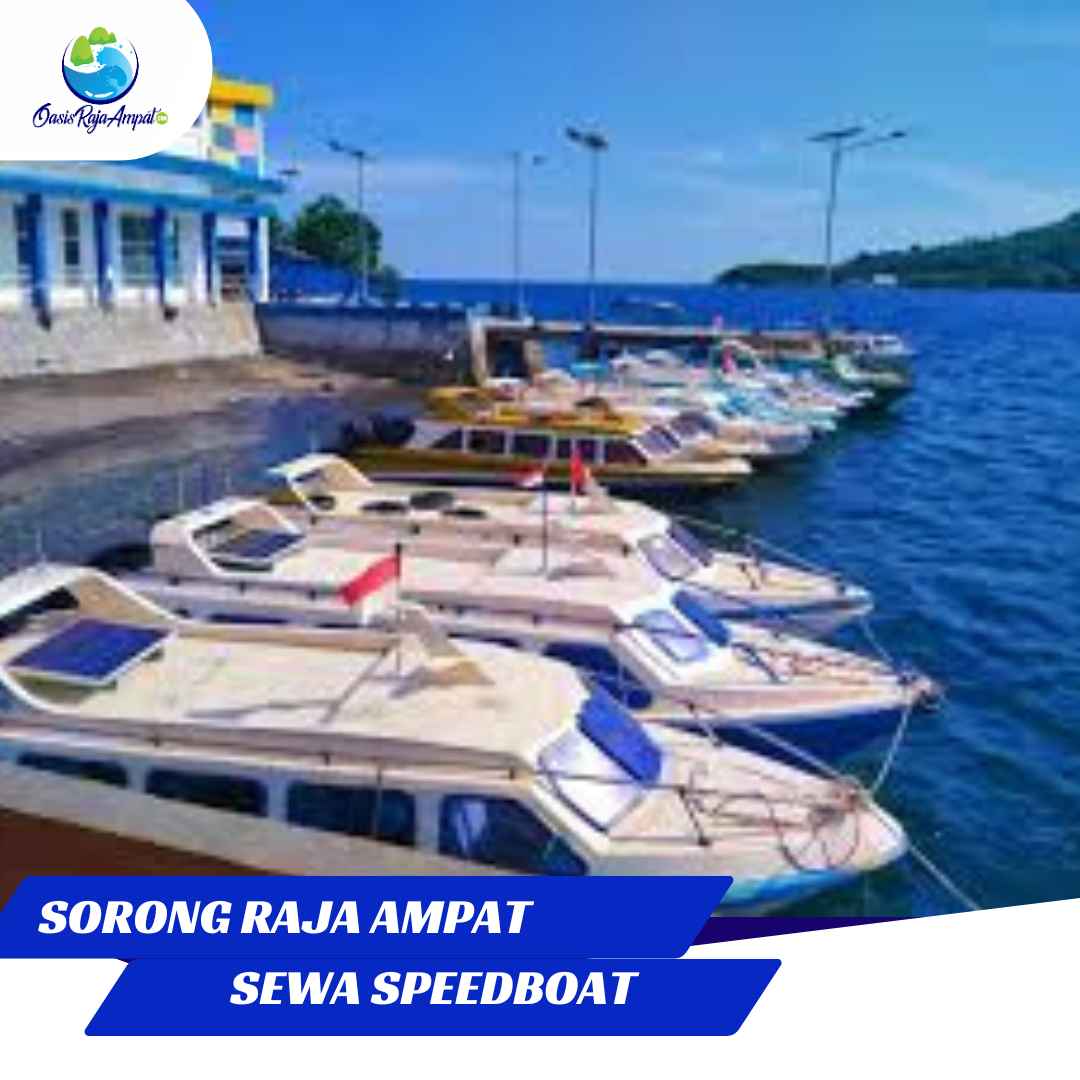 Sorong Raja Ampat Speed Boat Charter - Paket Wisata Raja Ampat OASIS