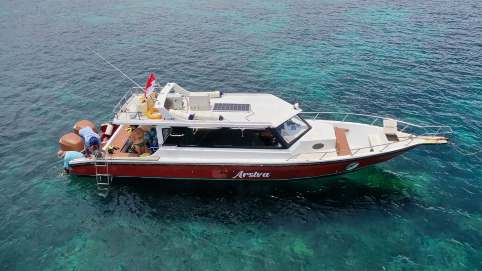 Sewa Rental Kapal Speed Boat Di Raja Ampat Terbaru 2025
