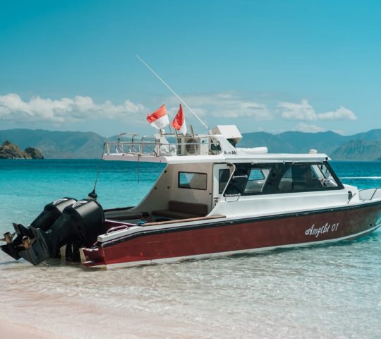 Sewa Rental Kapal Speed Boat Di Raja Ampat Terbaru 2025